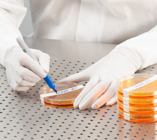 Isofield Eclipse Nitrile Gloves | 400mm Cleanroom Gloves